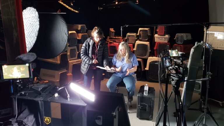 Film & TV Development Grant